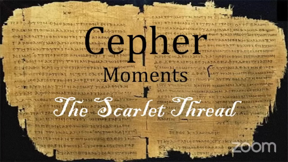 Cepher™ Bible | Millennium Edition 2023 | $95