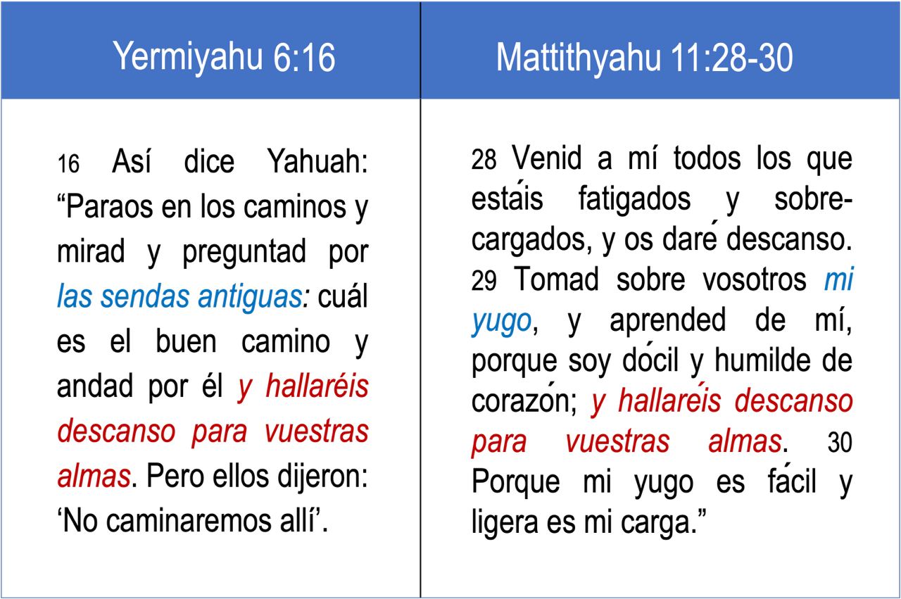 ¿Es difícil llevar el yugo de la Toráh?